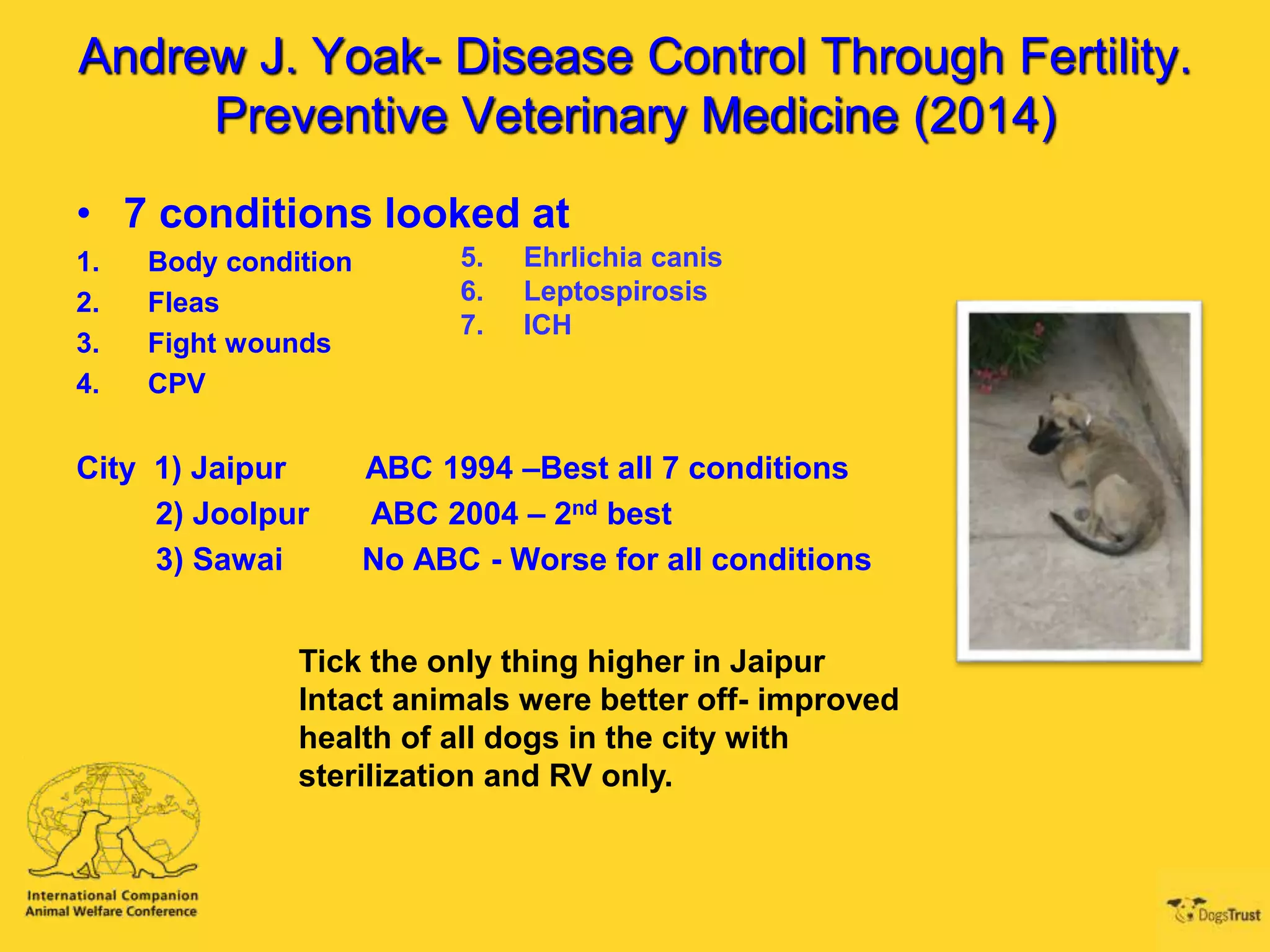 Street dog population control new new | PPT