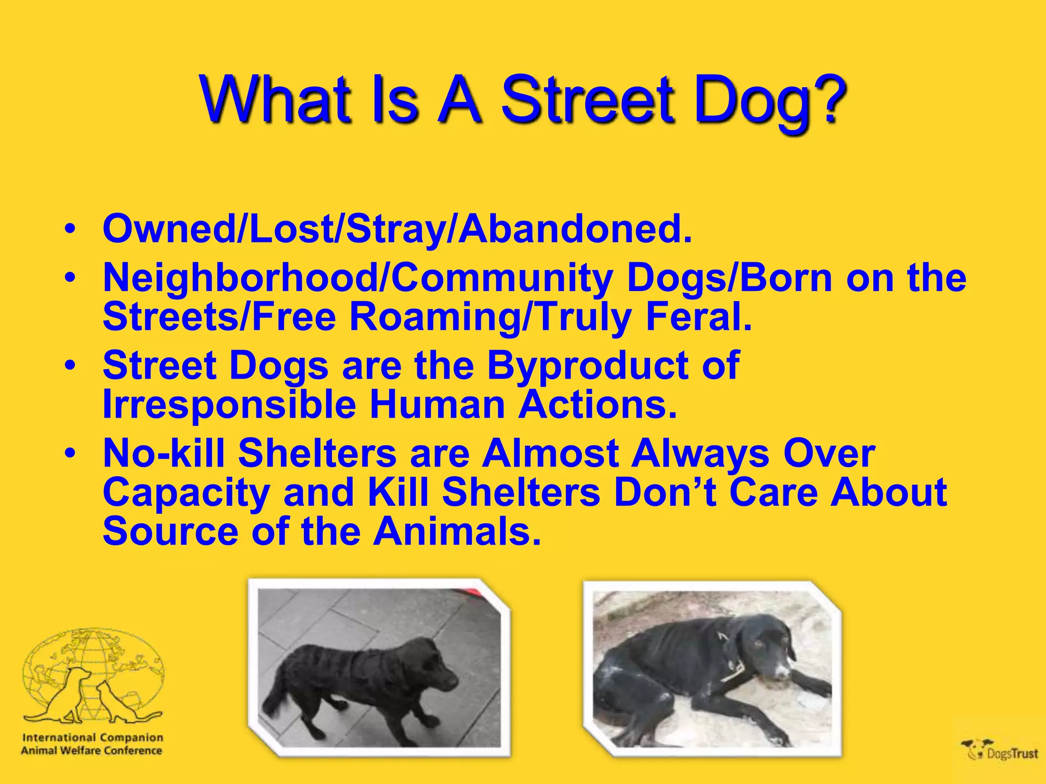 Street dog population control new new | PPT