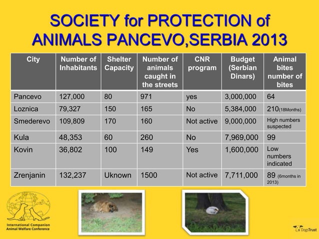 Street dog population control new new | PPT