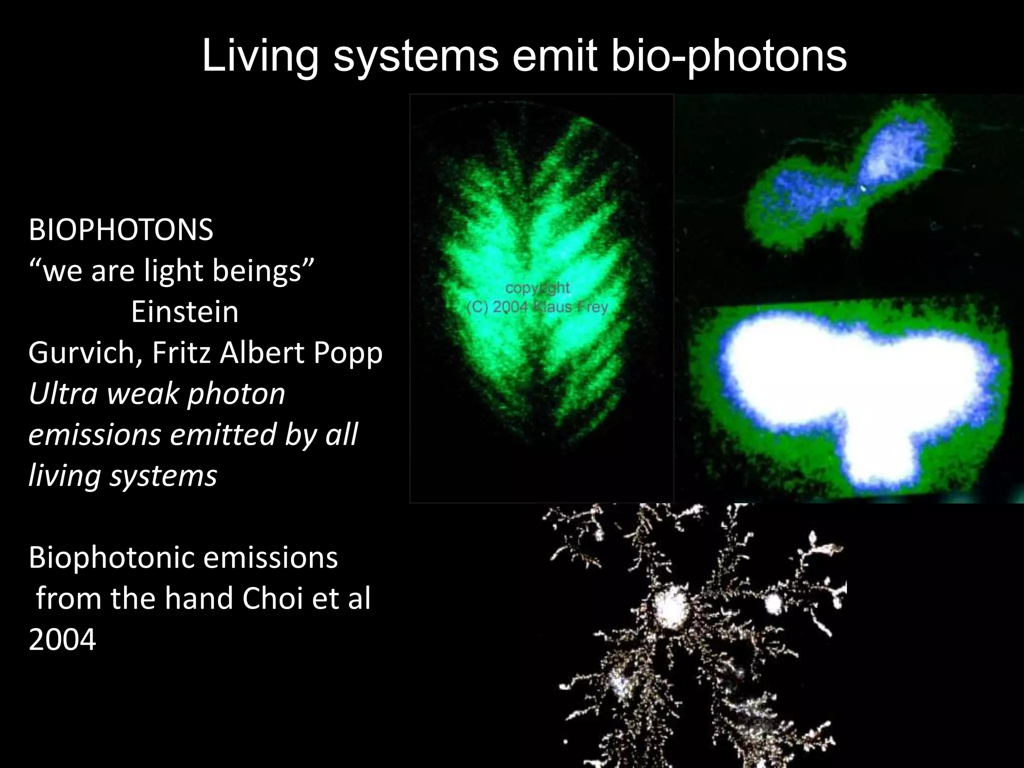 Journey into the anatomy and physiology of the human biofield with the ...