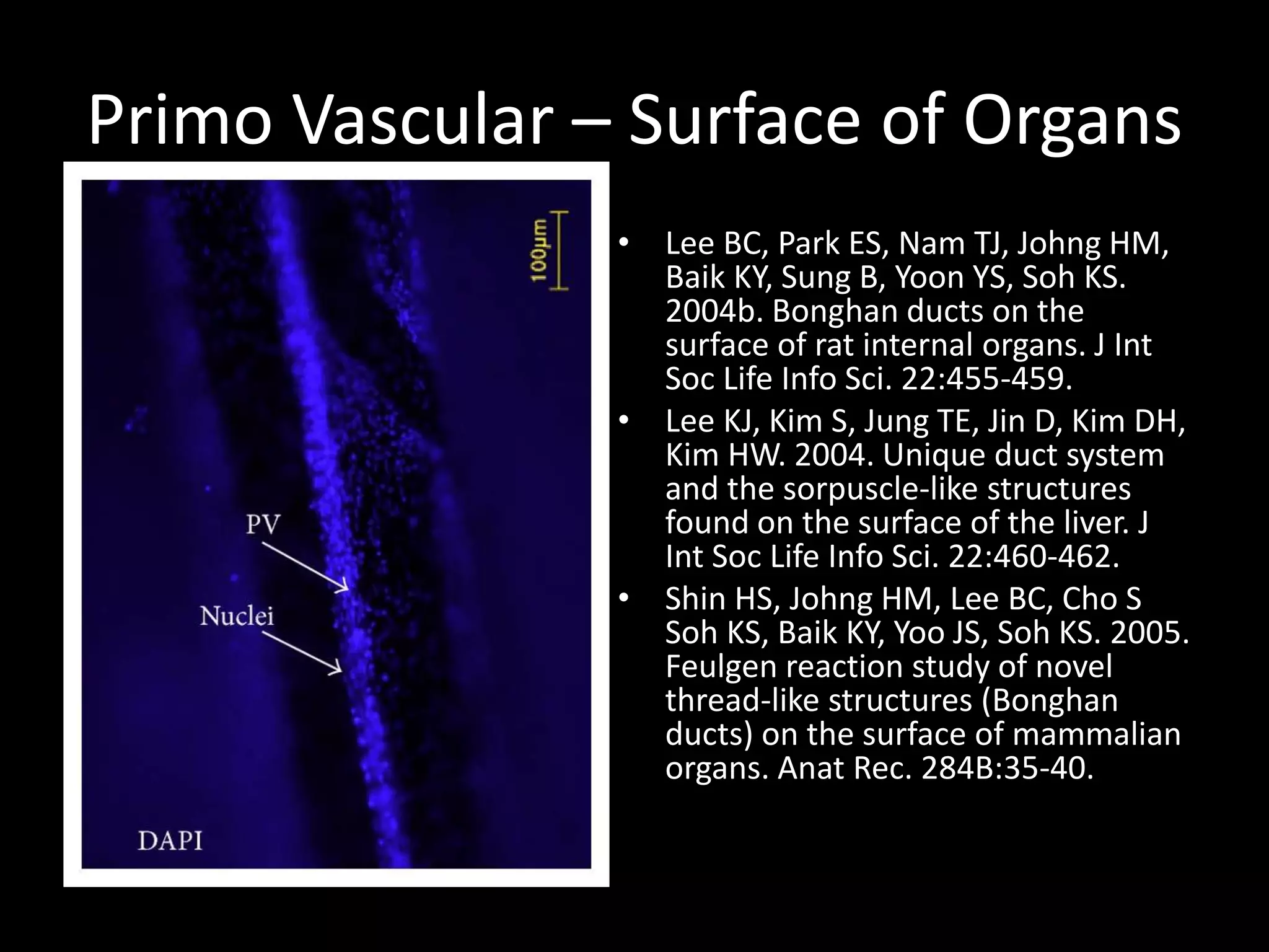 Journey into the anatomy and physiology of the human biofield with the ...