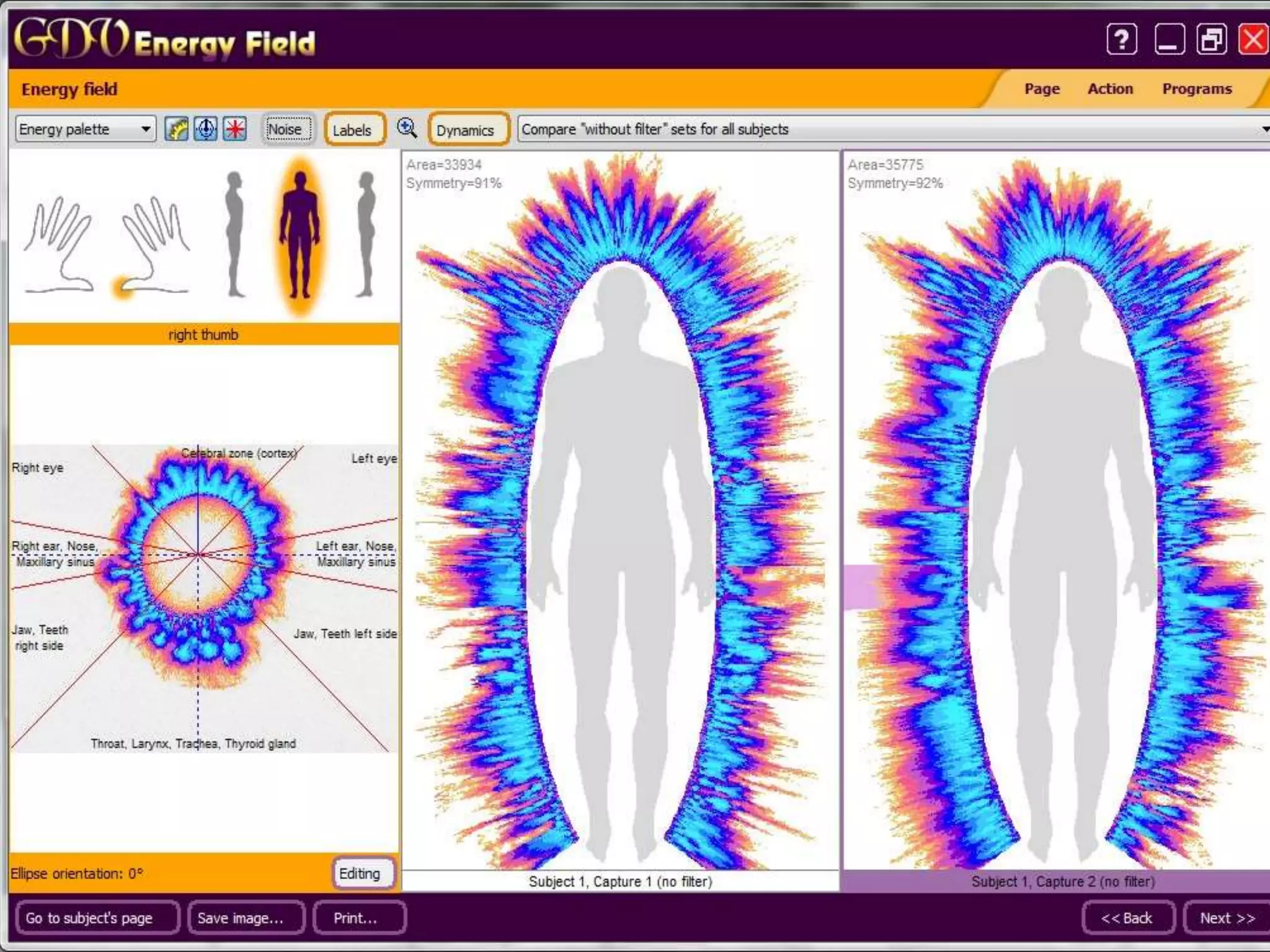 Journey into the anatomy and physiology of the human biofield with the ...