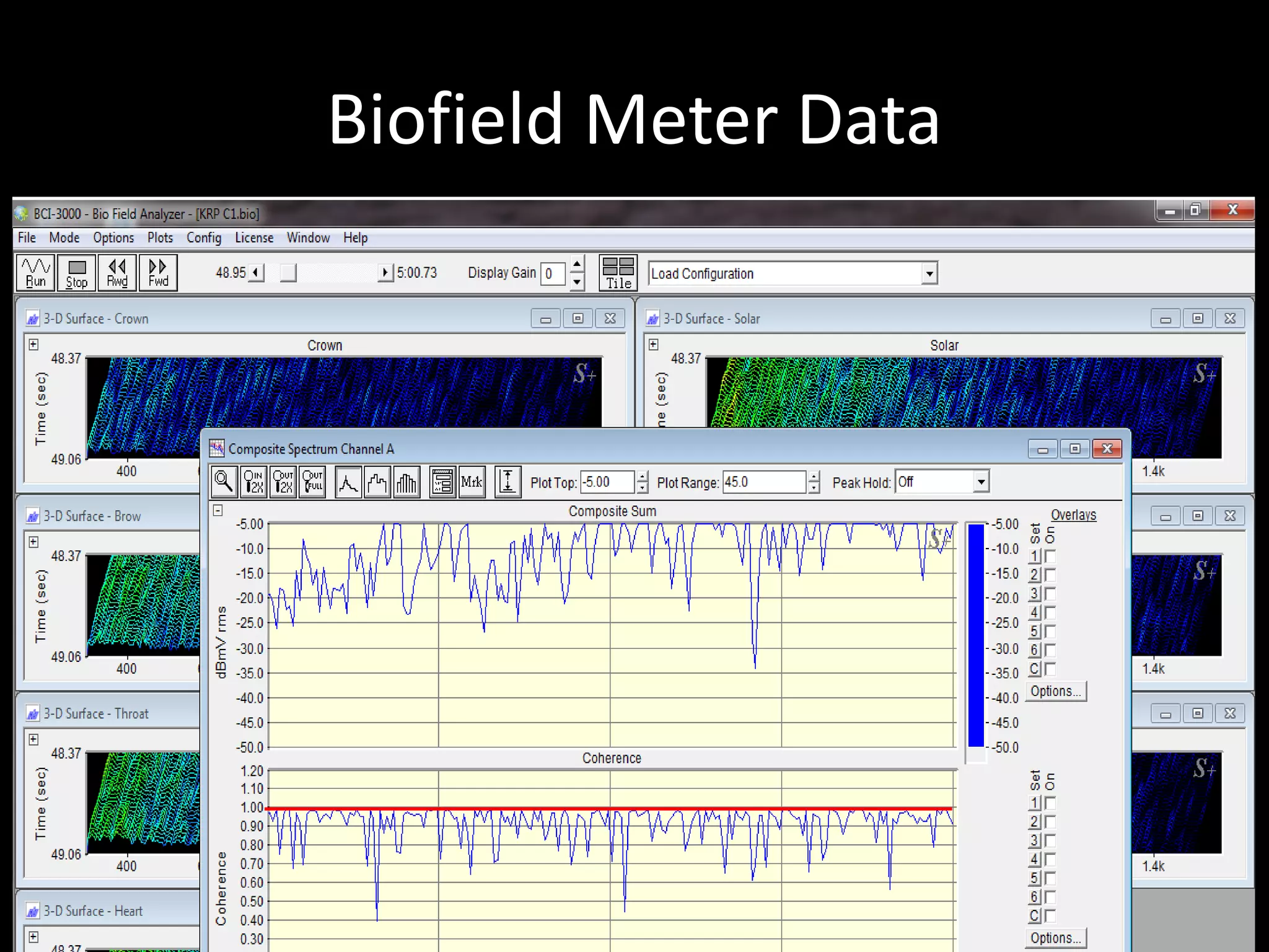 Journey into the anatomy and physiology of the human biofield with the ...