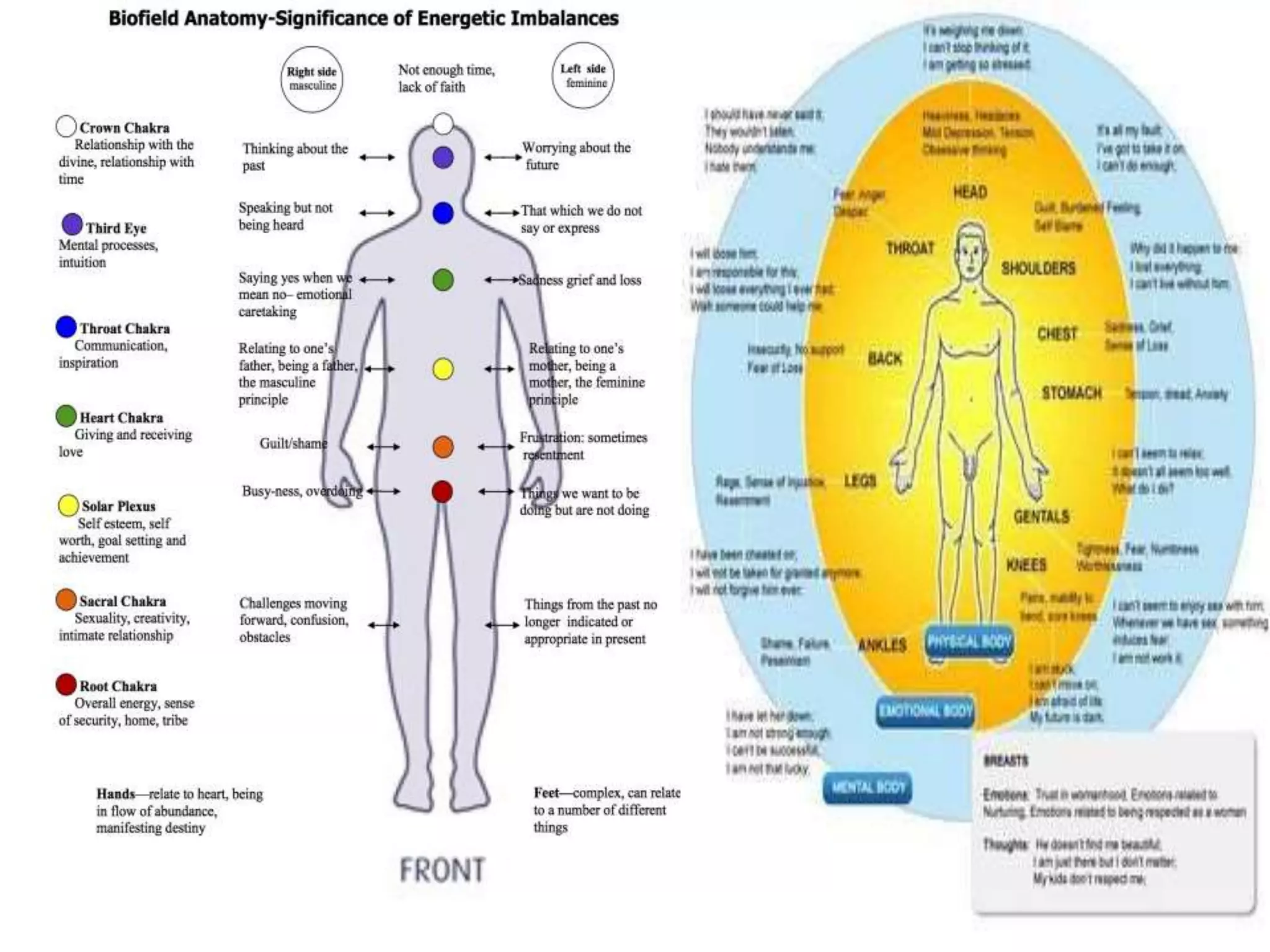 Journey into the anatomy and physiology of the human biofield with the ...