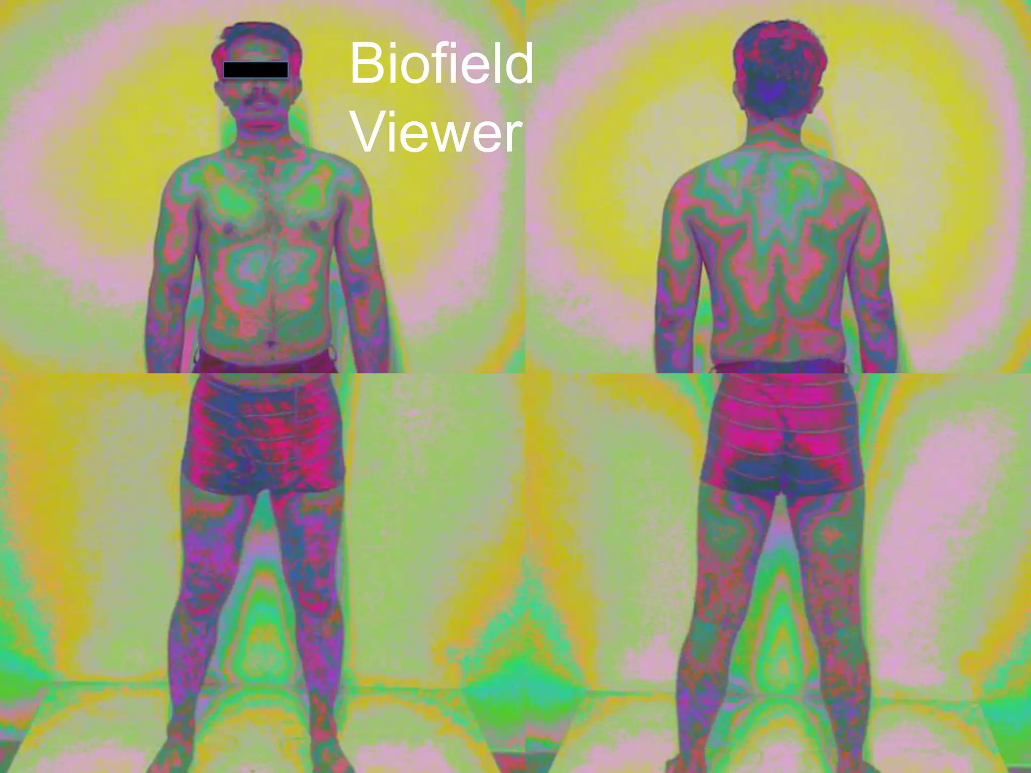 Journey into the anatomy and physiology of the human biofield with the ...