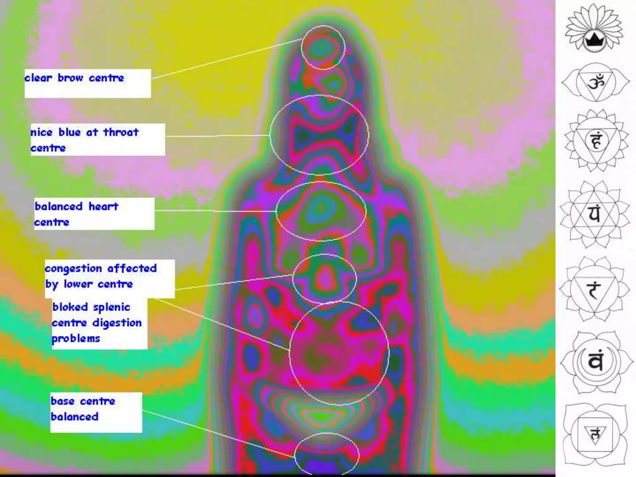 Journey into the anatomy and physiology of the human biofield with the ...