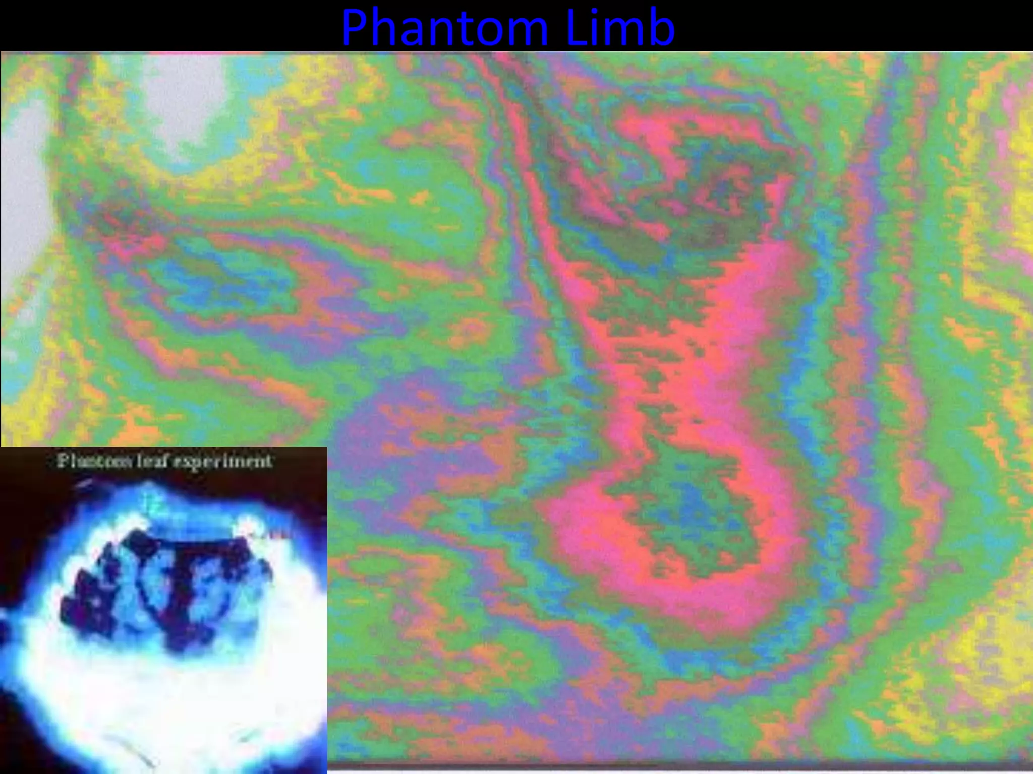 Journey into the anatomy and physiology of the human biofield with the ...