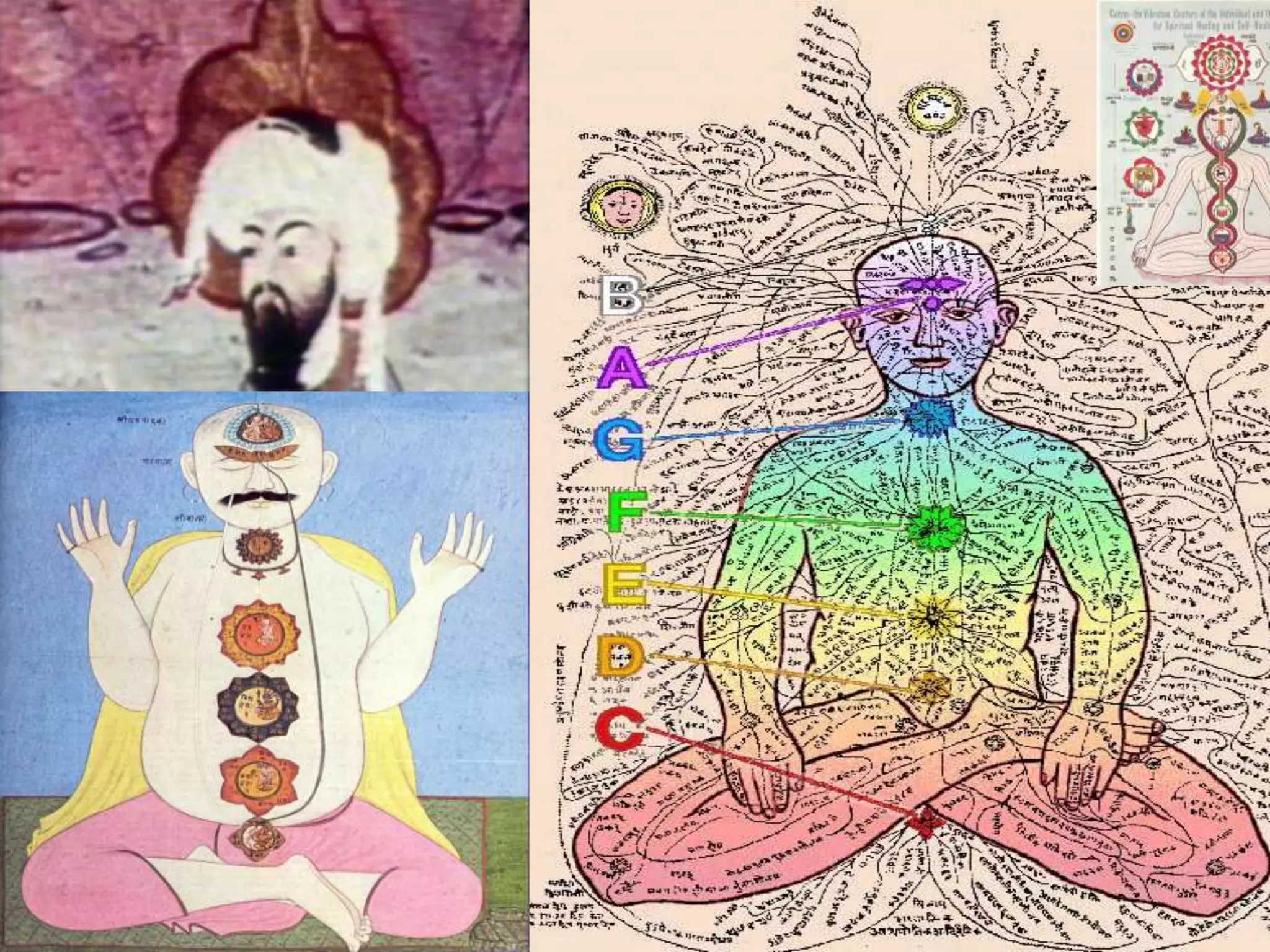 Journey into the anatomy and physiology of the human biofield with the ...