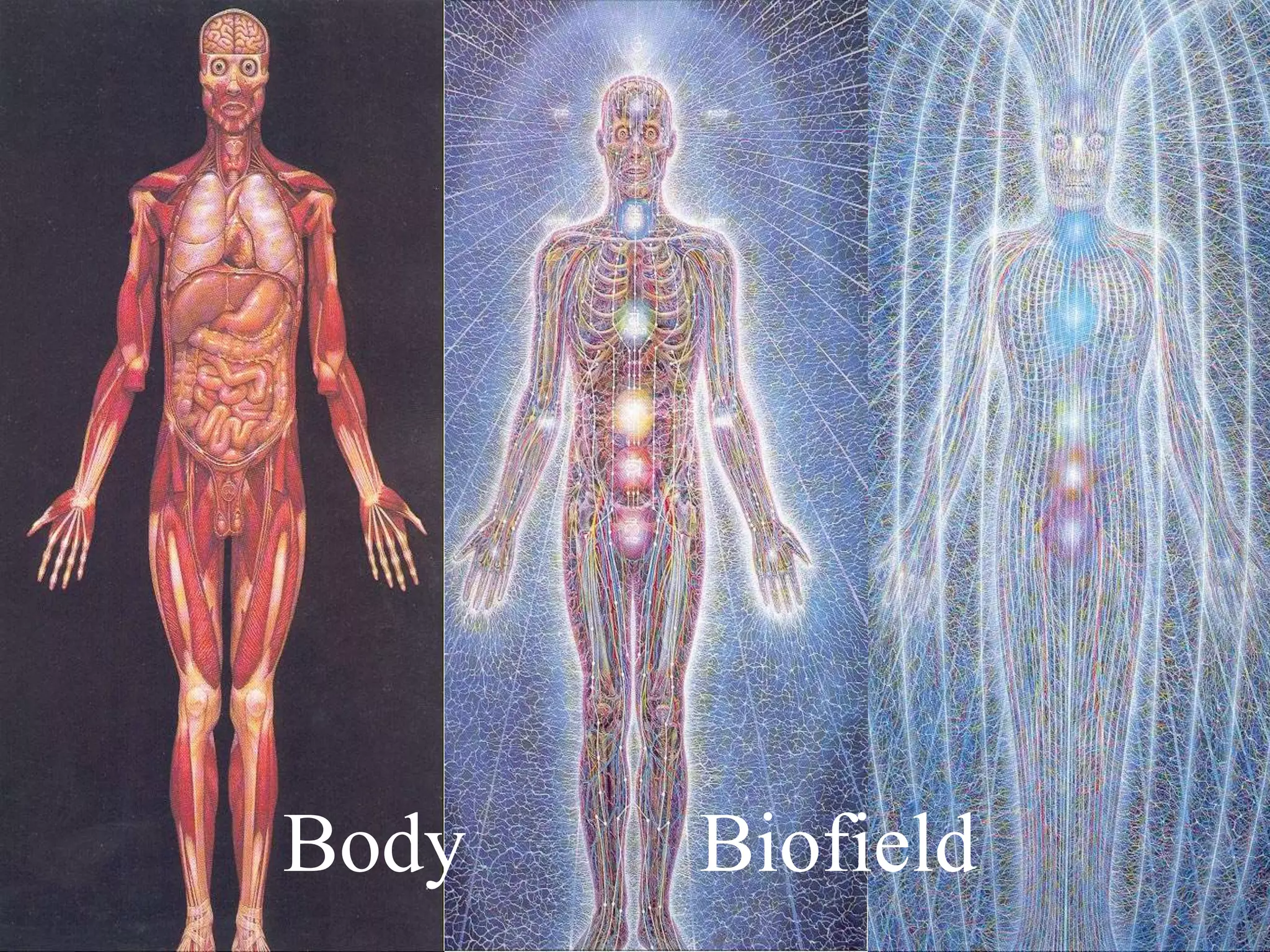 Journey into the anatomy and physiology of the human biofield with the ...