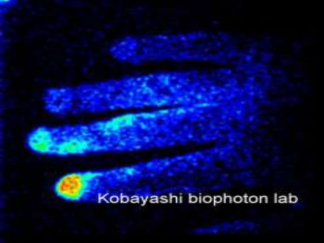 Journey into the anatomy and physiology of the human biofield with the ...