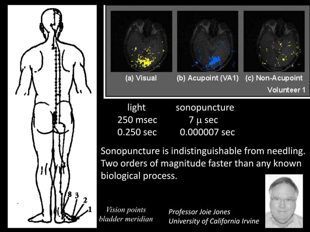 Journey into the anatomy and physiology of the human biofield with the ...