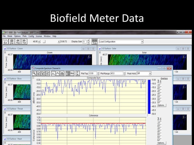 Journey into the anatomy and physiology of the human biofield with the ...