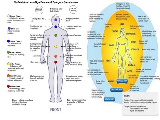 Journey into the anatomy and physiology of the human biofield with the ...