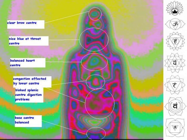 Journey into the anatomy and physiology of the human biofield with the ...