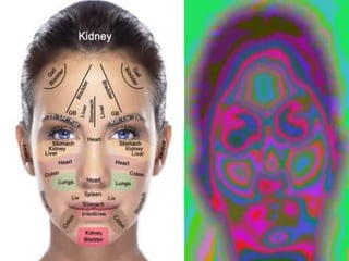 Journey into the anatomy and physiology of the human biofield with the ...