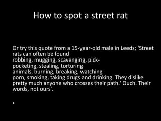 Street rats | PPT