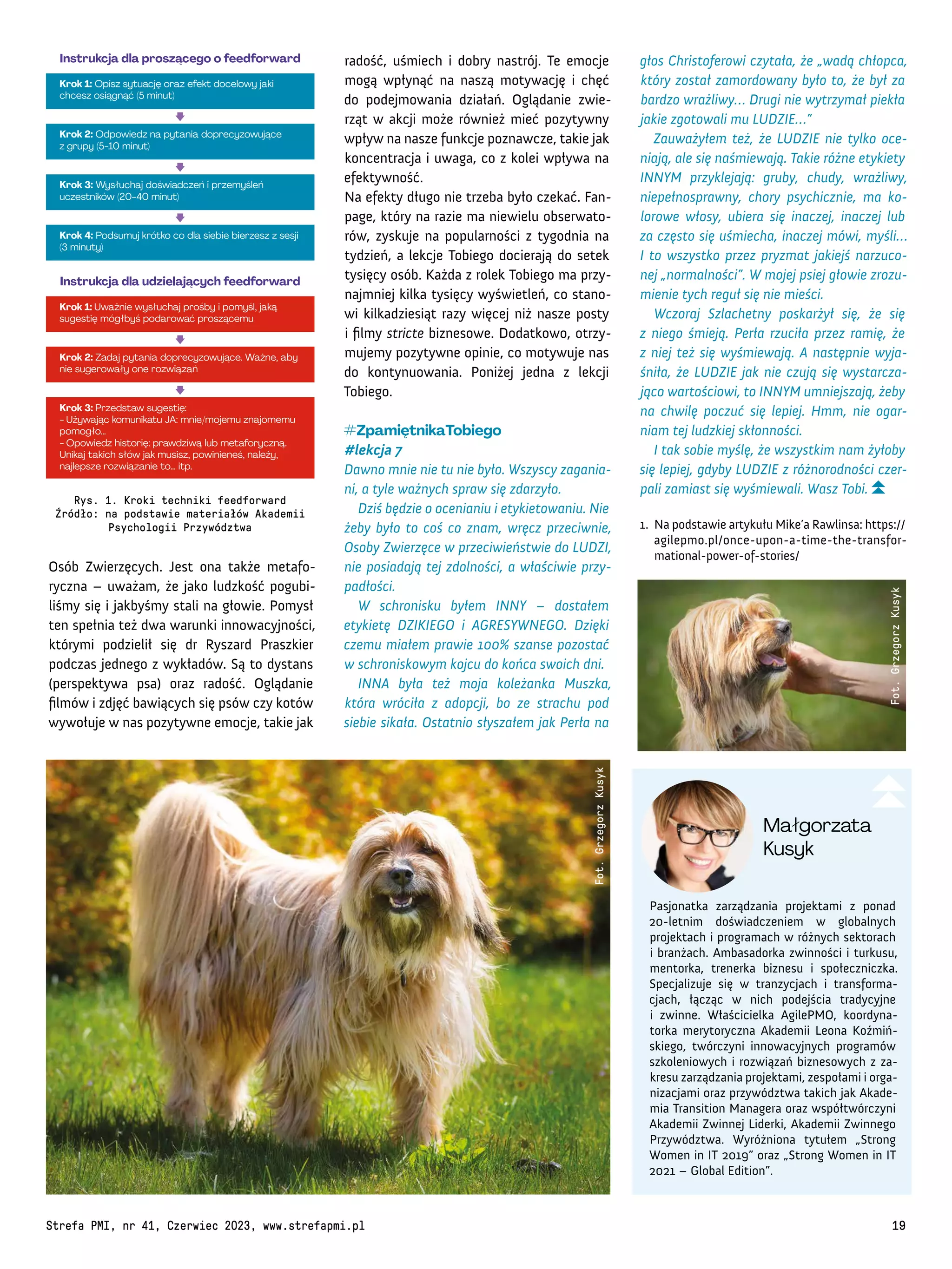 Strefa PMI nr 41, czerwiec 2023 | PDF