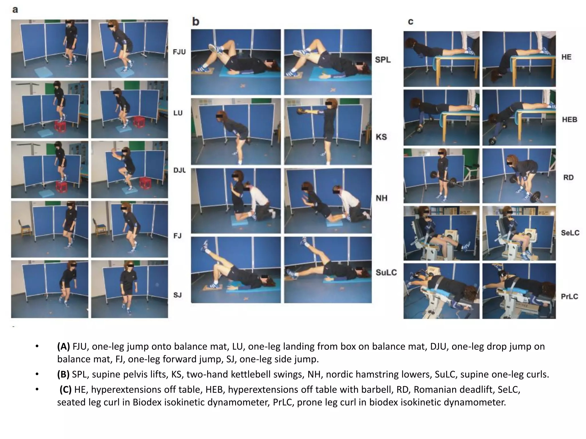 maximal Strength training | PDF