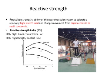 maximal Strength training | PDF | Physical Therapy | Wellness