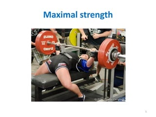 maximal Strength training | PDF | Physical Therapy | Wellness