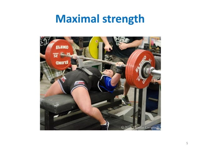 maximal Strength training | PDF | Physical Therapy | Wellness