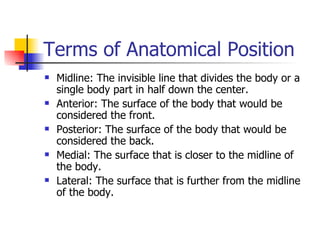 Strength Training Basics Part 1 | PPT