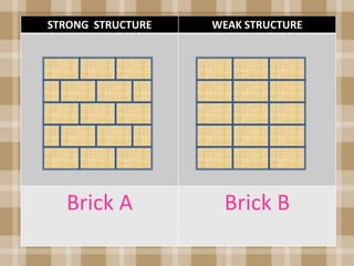 STRENGTH AND STABILITY | PPTX
