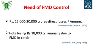 Strength and weaknesses of fmd control programme going on in india dr ...