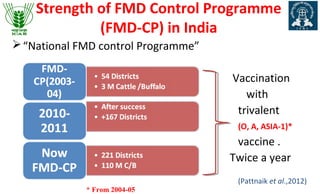 Strength and weaknesses of fmd control programme going on in india dr ...