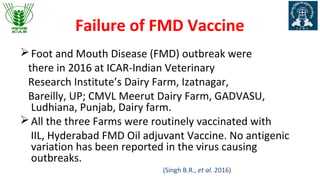 Strength and weaknesses of fmd control programme going on in india dr ...