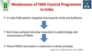Strength and weaknesses of fmd control programme going on in india dr ...