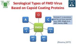 Strength and weaknesses of fmd control programme going on in india dr ...