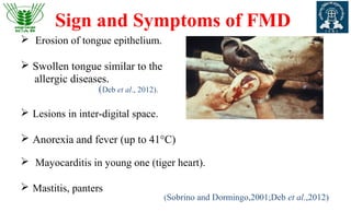 Strength and weaknesses of fmd control programme going on in india dr ...