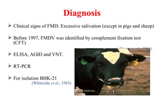 Strength and weaknesses of fmd control programme going on in india dr ...
