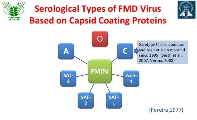 Strength and weaknesses of fmd control programme going on in india dr…