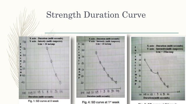 Strength duration curve | PPTX | Brain and Nervous System Disorders ...