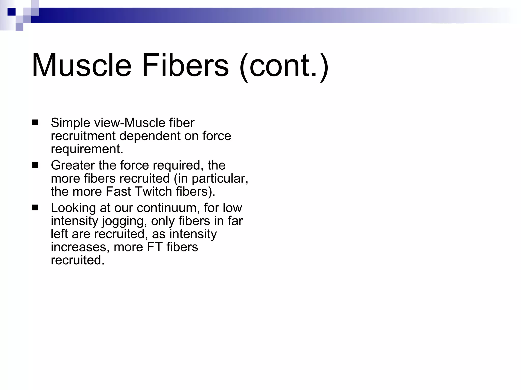 Strength Endurance Training | PPT