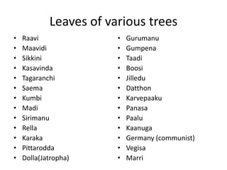 Strengthening Agriculture in Tribal and Hill Areas | PPTX
