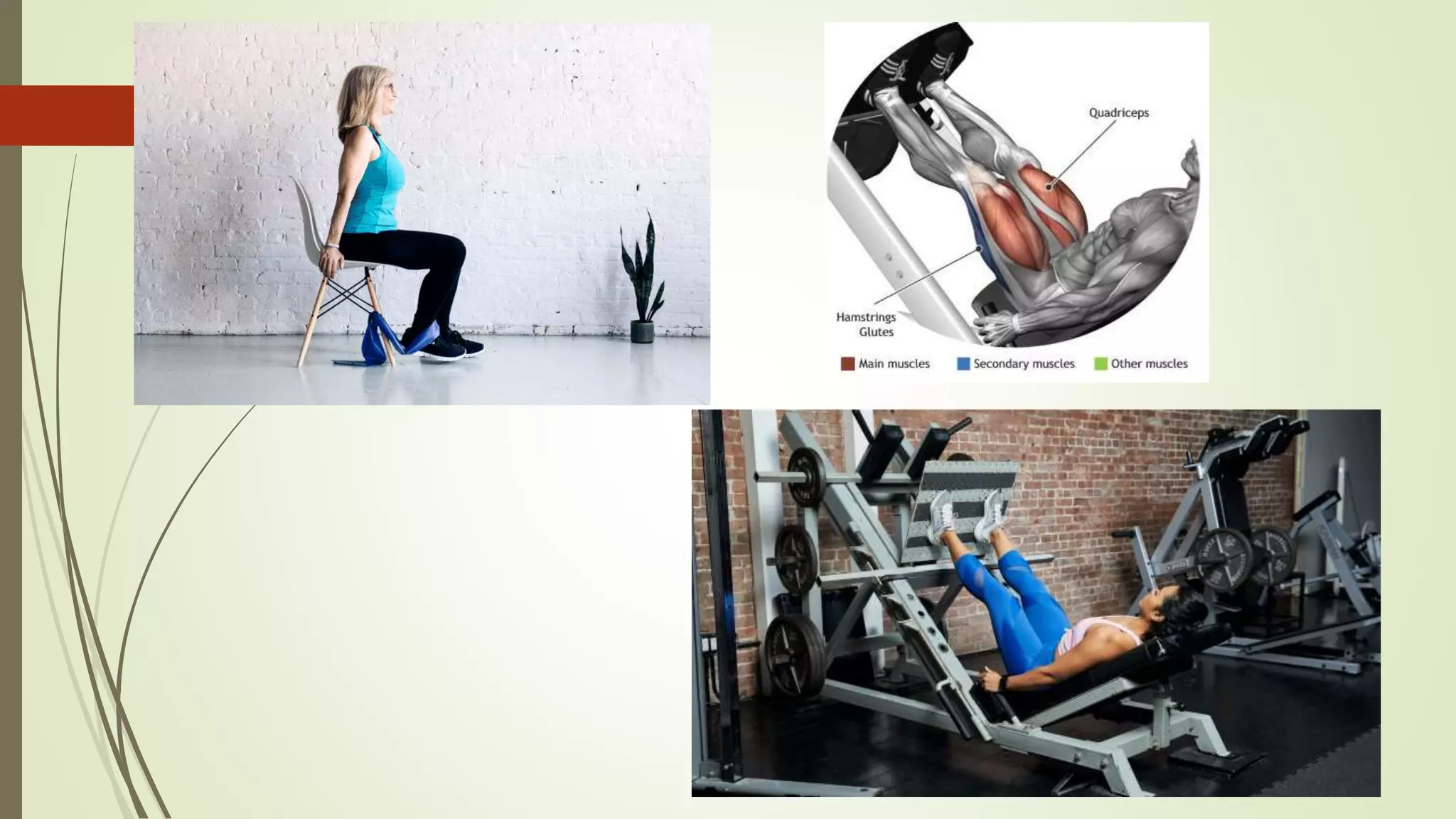 Strengthening of lower limbs , Physiotherapy. | PPTX