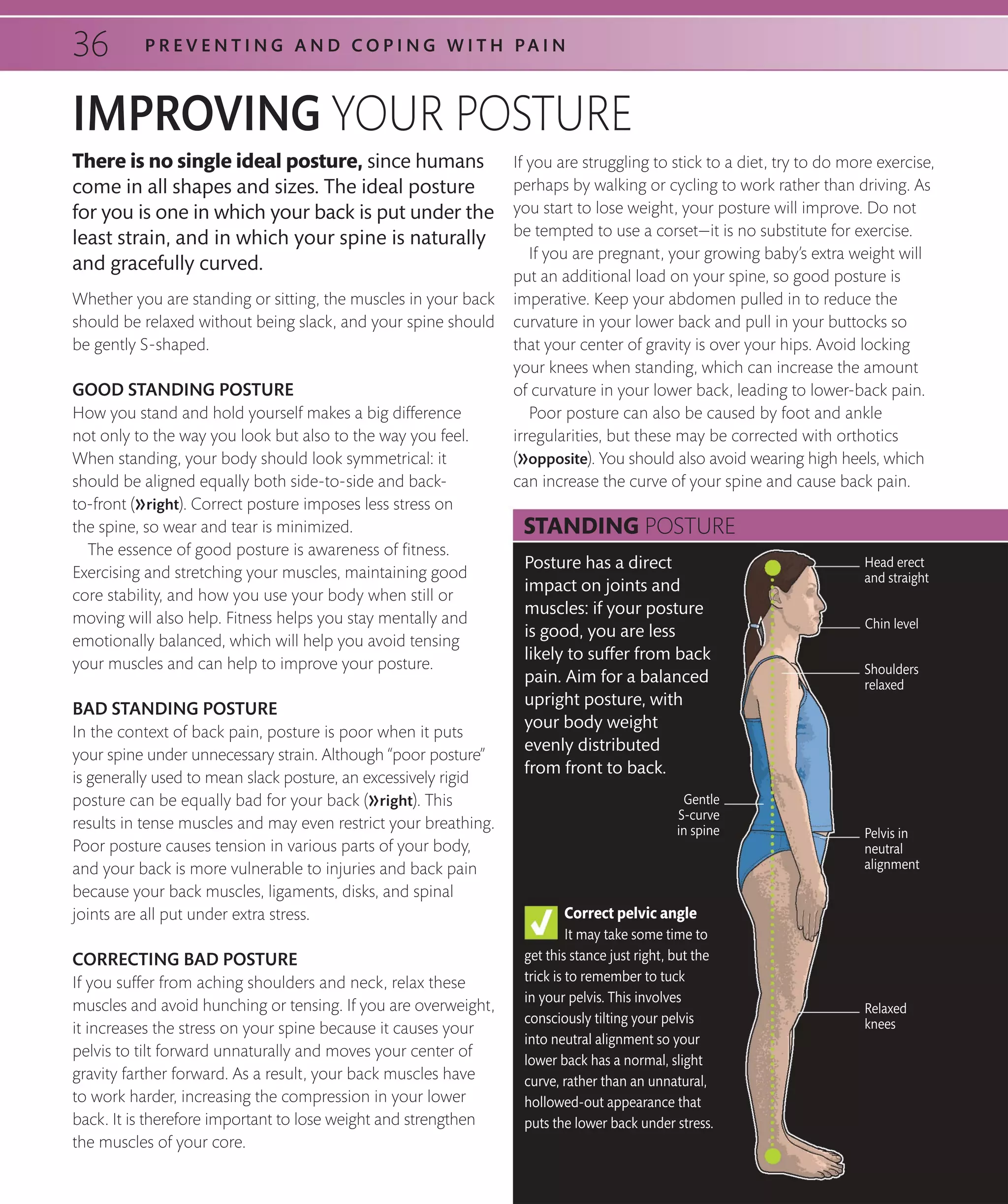Strengthen your back exercises to build a better back and improve your posture | PDF | Death ...