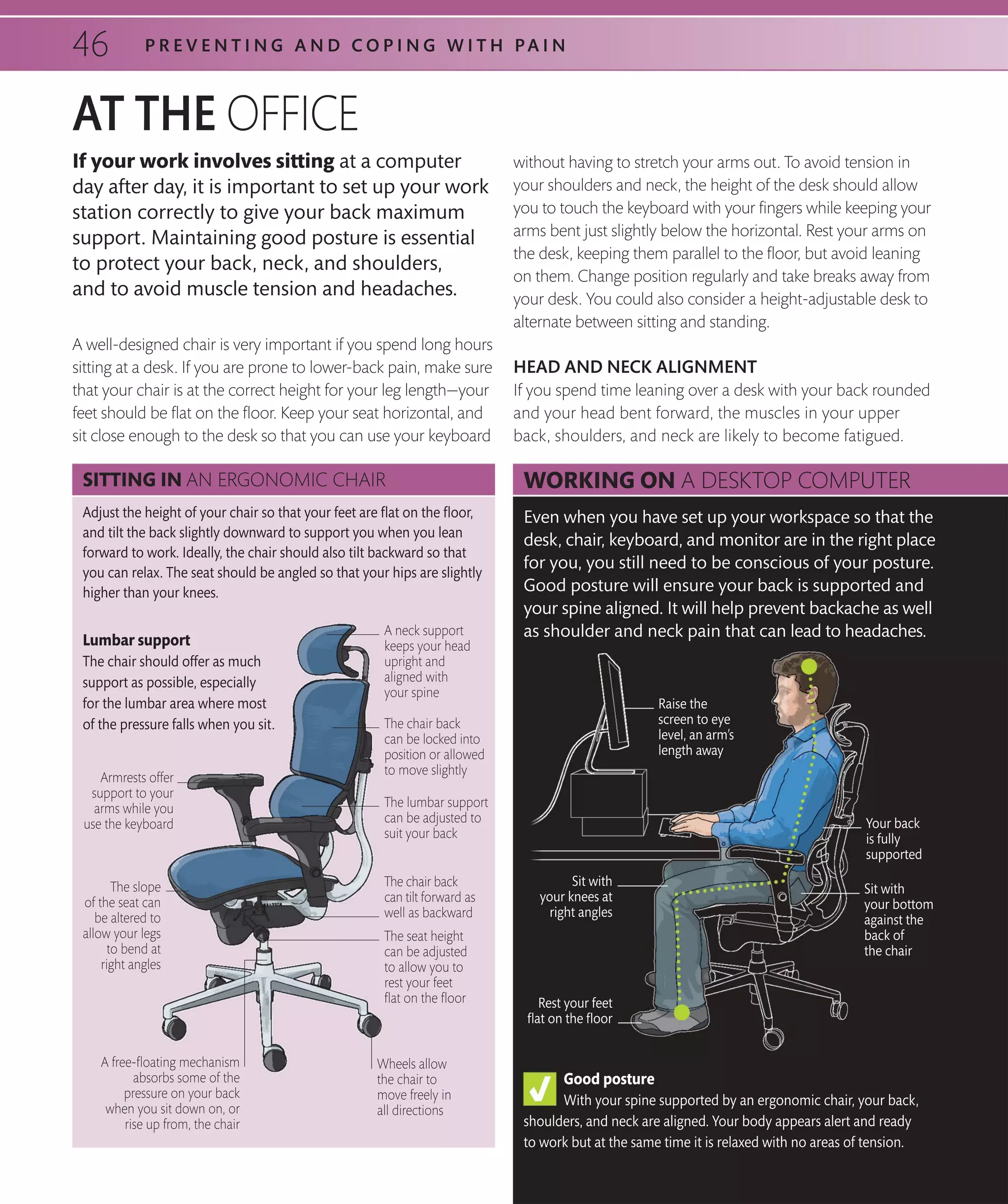 Strengthen your back exercises to build a better back and improve your ...