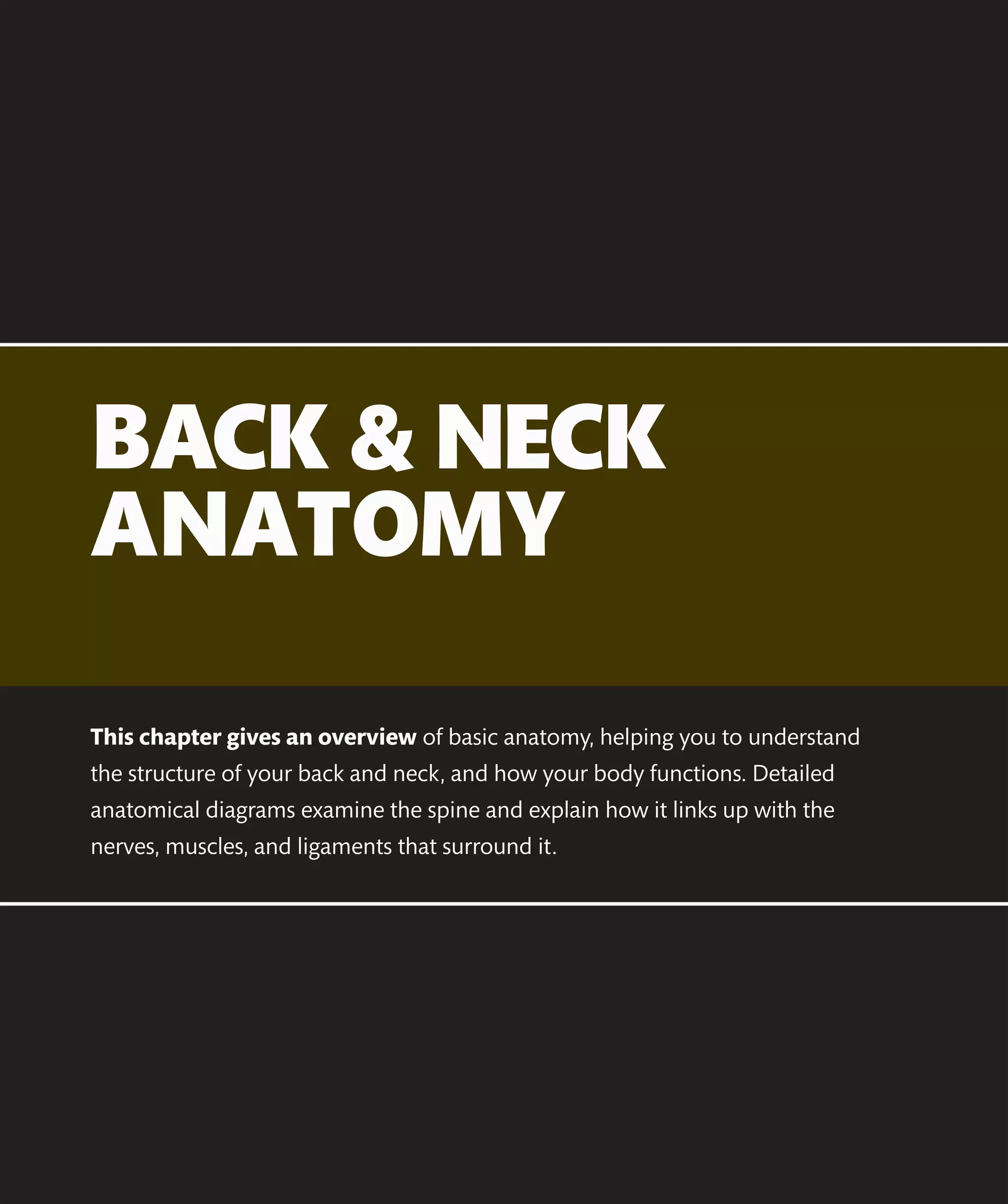 Strengthen your back exercises to build a better back and improve your ...