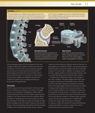 Strengthen your back exercises to build a better back and improve your ...