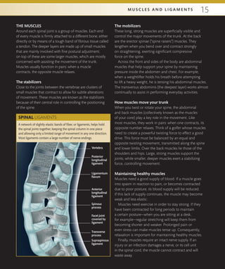 Strengthen your back exercises to build a better back and improve your ...