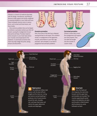 Strengthen your back exercises to build a better back and improve your ...