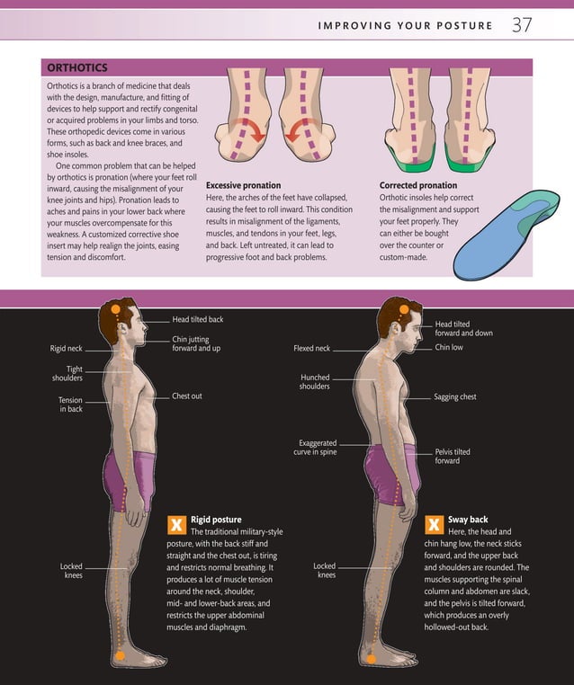 Strengthen your back exercises to build a better back and improve your posture | PDF | Death ...