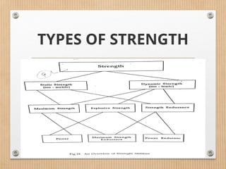 strength and its types in sports training.ppt