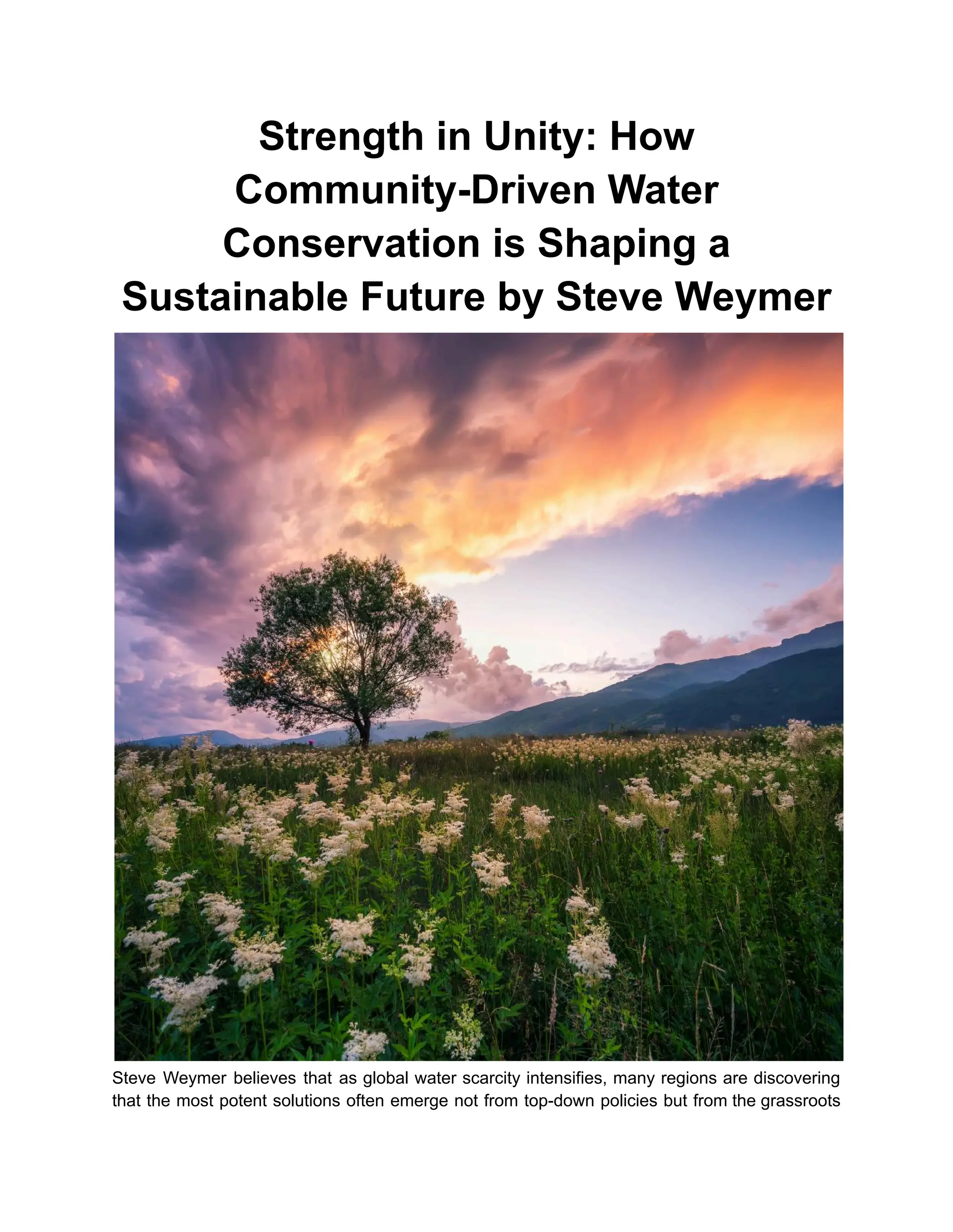 Strength in Unity_ How Community-Driven Water Conservation is Shaping a Sustainable Future by ...