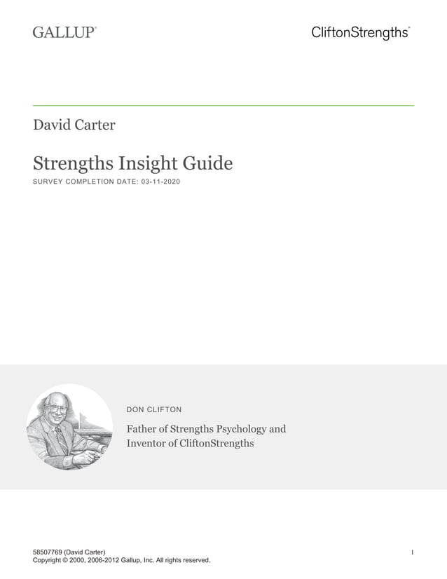 Strengths insight guide | PDF