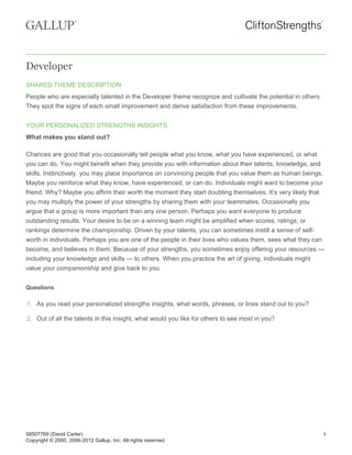Strengths insight guide | PDF